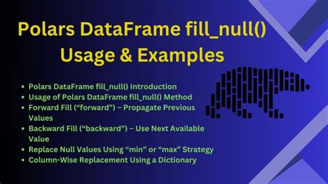 Polars Dataframe Fillnull Usage And Examples Spark By Examples