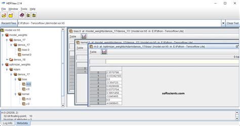 Tensorflow Lite Converter Softscients