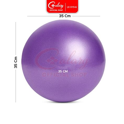Jual Calary Gym Ball Mini Bola Gym Fitness 25 Cm 35 Cm Bola Gym Yoga