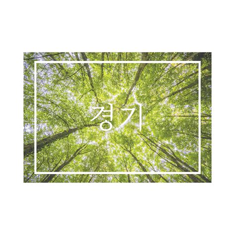 한국 아로마테라피 전문가 협회 아로마테라피스트 자격 과정 아로마트리