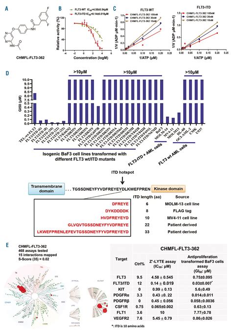 Selectively Targeting Flt3 Itd Mutants Over Flt3 Wt By A Novel Inhibitor For Acute Myeloid