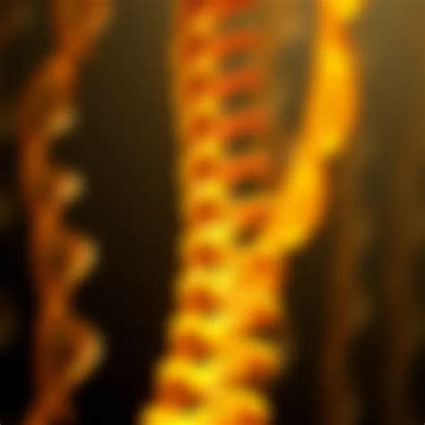 Exploring The Human Dna Sequence Structure And Impact