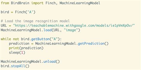 Activity 1 Image Recognition Python Birdbrain Technologies