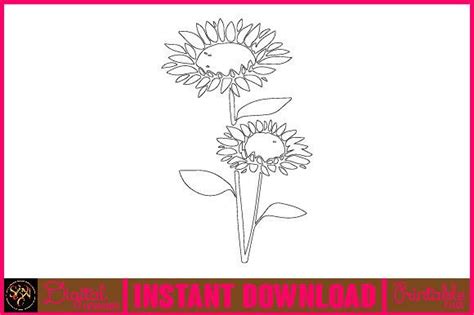 Sunflower Line Art Flower Svg Elements 1 Graphic By Best Design Bundle