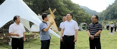 王彪到镇坪县调研文旅康养产业工作 优势 发展 建设