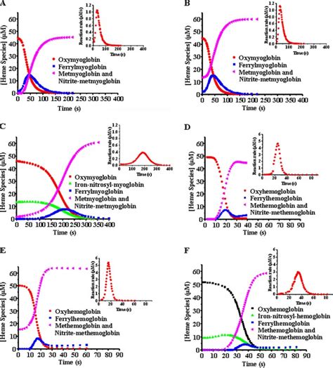 Iron Nitrosyl Myoglobin And Iron Nitrosyl Hemoglobin Delay And Dampen Download Scientific