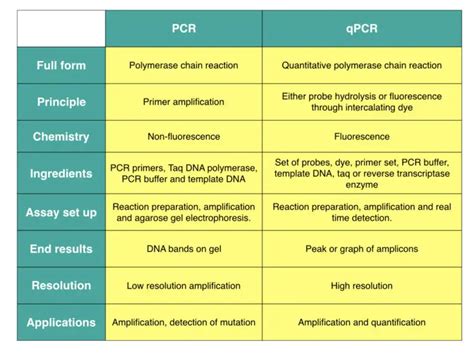 Differences Between Pcr Vs Qpcr Genetic Education