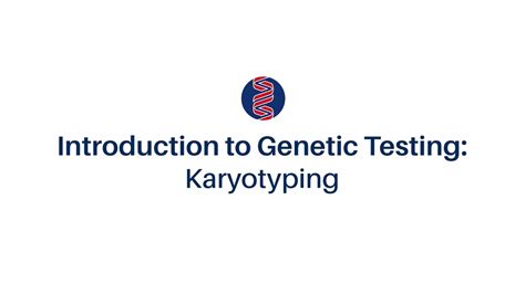 Karyotyping Explained Youtube