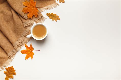 베이지 색 캐시미어 스카프 가을 단풍나무와 회색 배경에 참나무 잎을 곁들인 커피 한 잔 플랫 레이 상단 뷰 복사 공간 담요에 대한 스톡 사진 및 기타 이미지 Istock