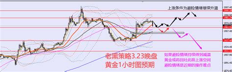 老黑策略：323晚盘外汇、黄金、原油分析策略中金在线财经号