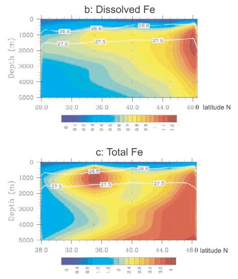 A Longitudinal Section Of Dissolved Iron And Total Iron Profile In The Download Scientific