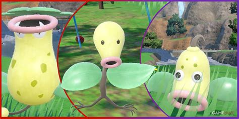 How Do You Get Bellsprout In Pokemon Quest At George Hodge Blog