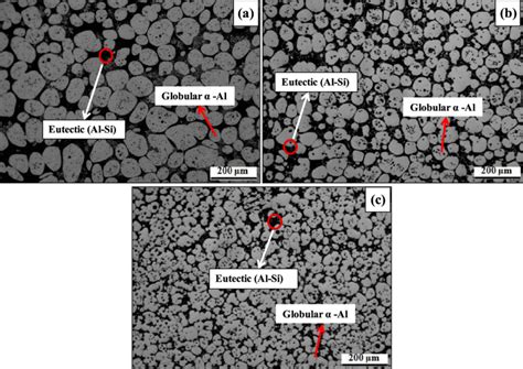 Optical Microstructure Of 60 Warm Deformed Al Si Alloy A 7wt Si Download Scientific