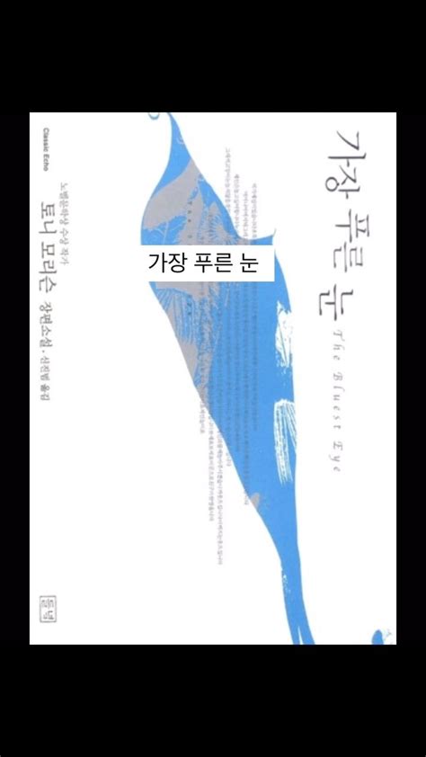 Goez 플러리더즈가 가장 인상깊었던 Kdc 활동은 Koreandreamcrew Koreandream Kdc2024 코리안드림크루