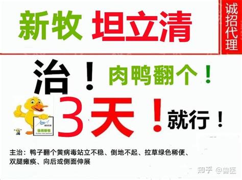 鸭子翻个是什么原因 鸭子翻肚子怎么回事 鸭子翻个是什么病 鸭子翻个的预防方法 鸭子翻个用什么 鸭子翻肚是怎么回事 知乎