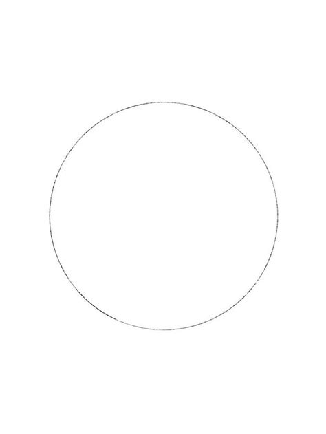 Learn To Draw A Sunflower In Procreate For Beginners Circle Template