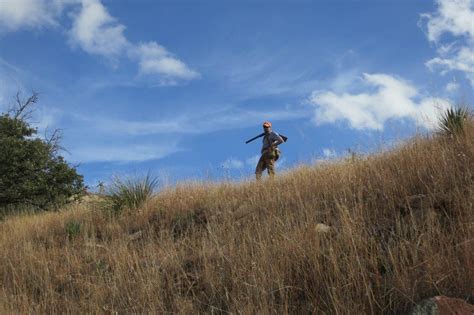 Arizona Quail Hunting The Arizona Quail Slam Arizona WanderingsArizona Wanderings
