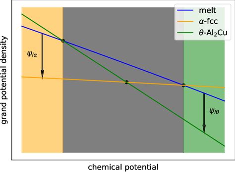 figure 1 from simulation of dendritic eutectic growth with the phase