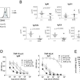 Severe Block In B Cell Development Ig Serum Levels Antigen Specific Download Scientific