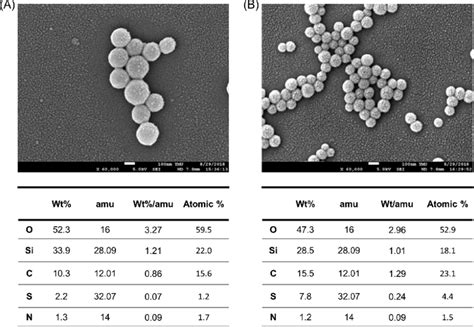 Particle Morphology Sem Images And Chemical Composition From Eds