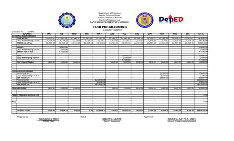 Cash Programming 2018 Pdf