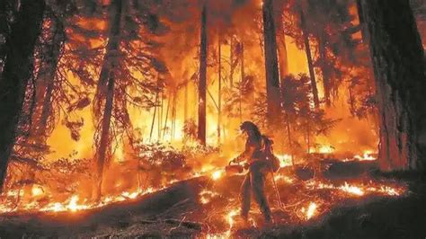 Калифорнийн ойн түймрийн улмаас 24 хүн амиа алджээ