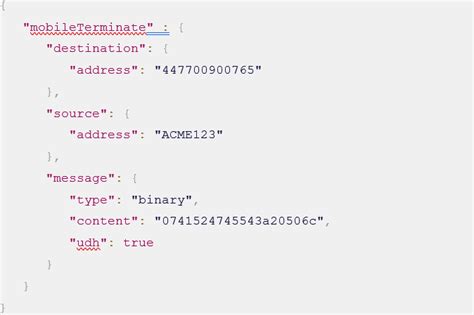 Json Example Infobip