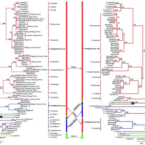 Bayesian Inferenceleft And Maximum Likelihoodright Trees Of The