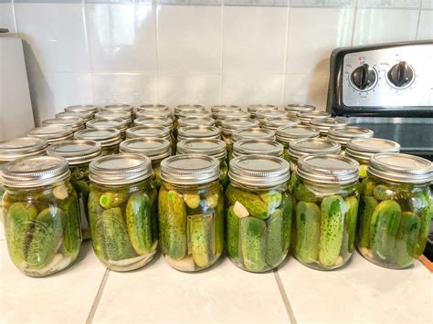 Homemade Dill Pickles Great Grandmas Canning Recipe Whole Kitchen Sink