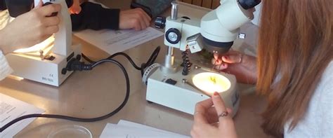 La Lupa Binocular Labobloc De Biologia I Geologia
