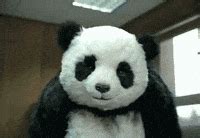 Panda Smashing Computer 