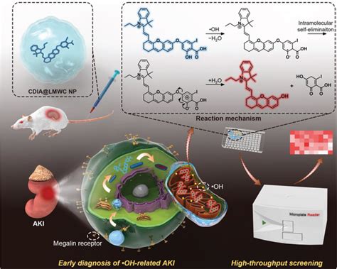 Schematic Diagram To Indicate The Design Of A NIR Download Scientific Diagram