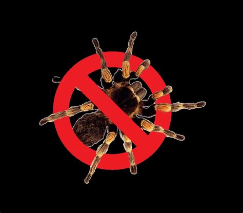 Locations Pest Control Sydney