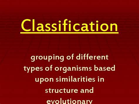 Classification Grouping Of Different Types Of Organisms Based