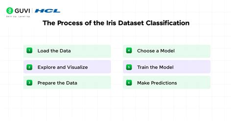 Iris Dataset Explained Features Classification And Examples