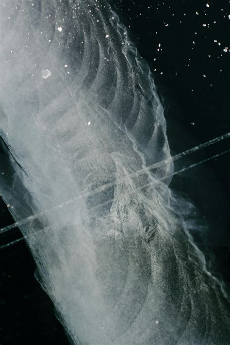 감기 겨울 계절 관념적인 극한의 추위 기하학적 꽁꽁 언 냉담한 냉동 수 눈 눈 텍스쳐 눈 형성 눈송이 디테일 러시아 맑은 매크로 복잡한 빙하