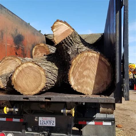 Image Gallery Hamilton Tree Service Inc