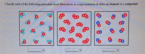 Solved Classify Each Of The Following Particulate Level