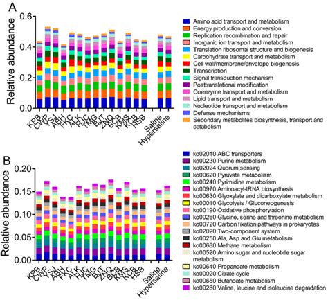Metagenomic Insights Into Microbial Community Structure Function And Salt Adaptation In Saline