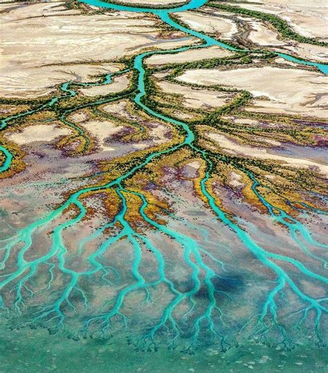 Dendritic Drainage Pattern Reason At William Wickens Blog