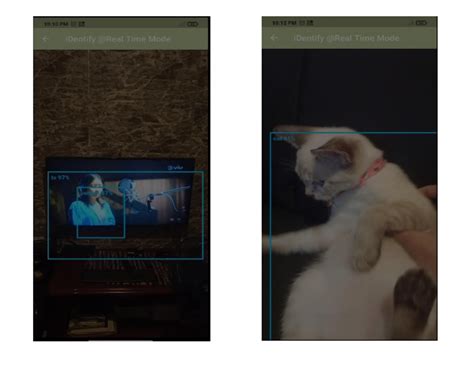 Github 2k16danielidentify Object Detection Identify A Visual Information Processing Through