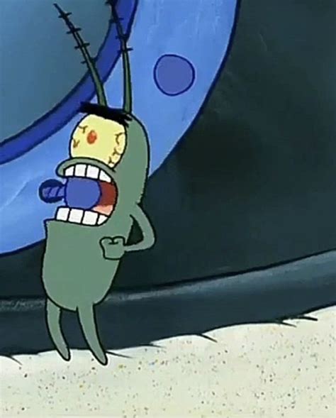 Spongebob Tongue Snail Food