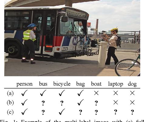 Category Adaptive Label Discovery And Noise Rejection For Multi Label Image Recognition With