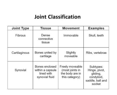 Joint Classification Flashcards Quizlet