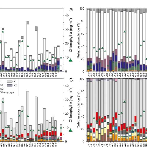 Temporal And Spatial Variability Of The Abundance Of Phytoplanktonic