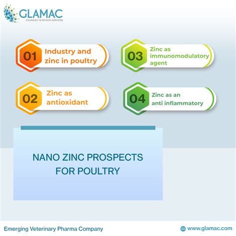 Industry And Zinc In Poultry