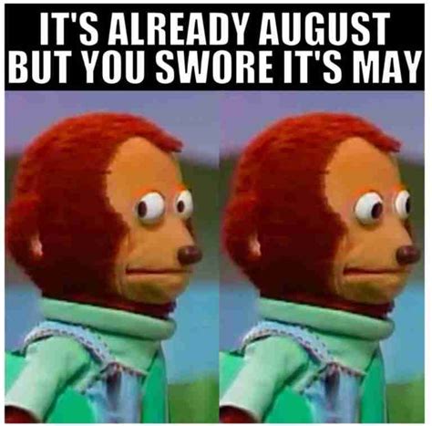 Collection Of Best August Memes 2023 Guide For Geek Moms