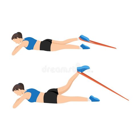 Hamstring Exercise Curl Stock Illustrations 13 Hamstring Exercise