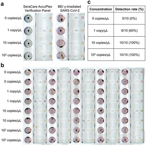 Extraction And Detection Of Contrived Sars Cov 2 Viral Particle Samples