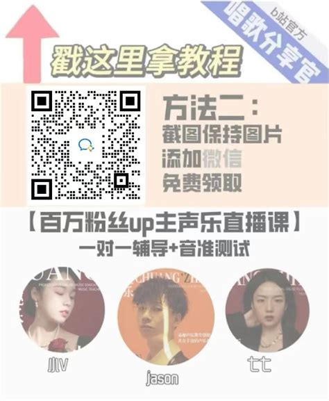 零基础学唱歌教程小破站专属声乐学习籽料 哔哩哔哩